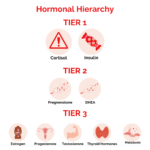 Women’s Hormone Health Self-Study Certification Program – Institute for ...