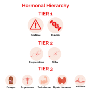 Curriculum - Women's Hormone Health Certification Program | Institute ...